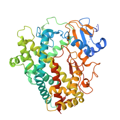 Gene P10635 | Protein CYP2D6 - Overview | canSAR.ai