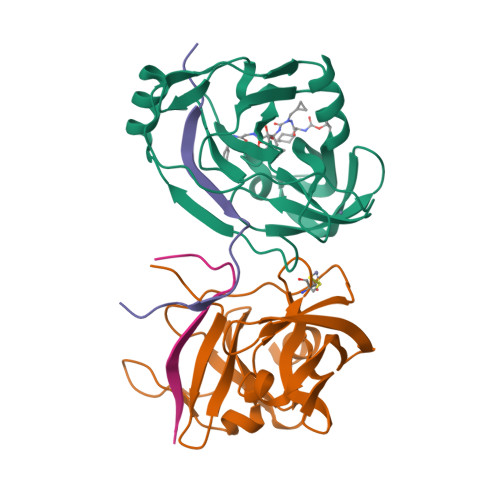RCSB PDB - 2F9V: HCV NS3 protease domain with NS4a peptide and a ...