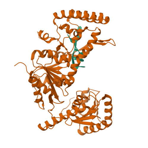 RCSB PDB - 2FDC: Structural Basis of DNA Damage Recognition and ...