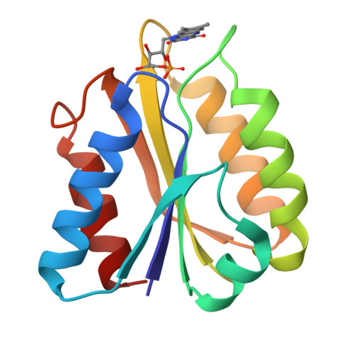 RCSB PDB - 2FZ5: Solution structure of two-electron reduced Megasphaera ...