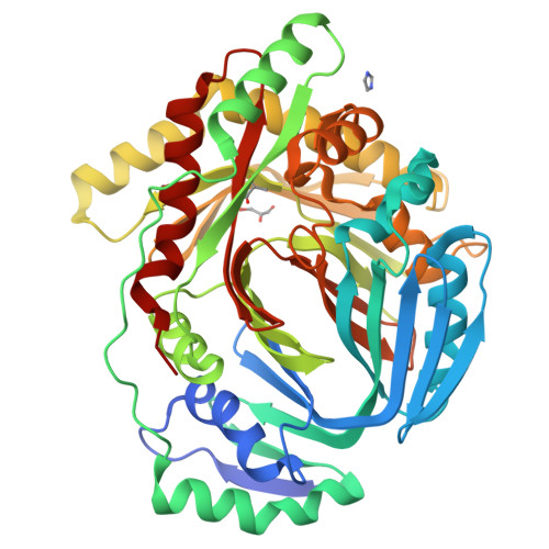 RCSB PDB - 2G5F: The structure of MbtI from Mycobacterium Tuberculosis ...