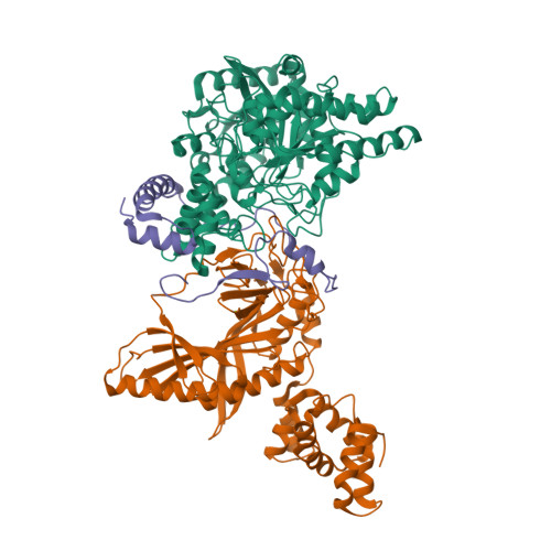 RCSB PDB - 2G5H: Structure of tRNA-Dependent Amidotransferase GatCAB