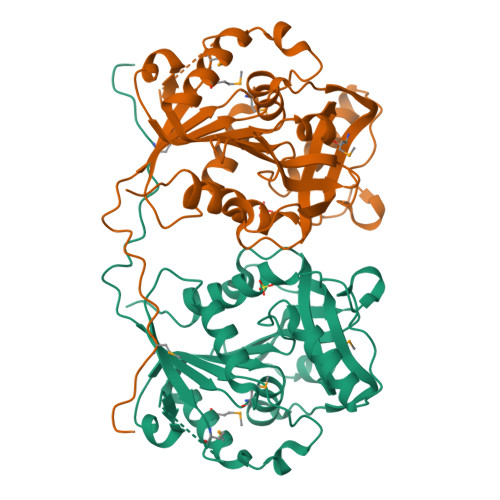 RCSB PDB - 2GHR: Crystal structure of homoserine o-succinyltransferase ...