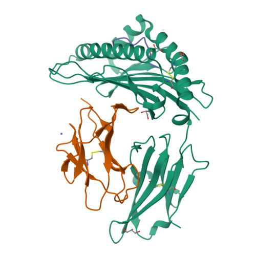 RCSB PDB - 2GTZ: Human Class I MHC HLA-A2 in complex with the nonameric ...
