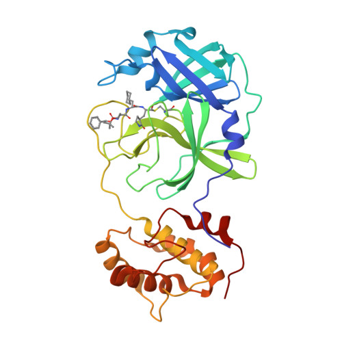 RCSB PDB - 2GX4: Crystal structure of SARS coronavirus 3CL protease ...
