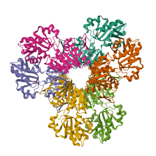 RCSB PDB - 2H06: Crystal structure of human phosphoribosyl ...