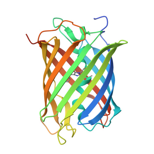 RCSB PDB - 2H5Q: Crystal structure of mCherry