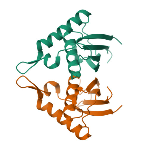 RCSB PDB - 2H8E: Structure RusA D70N