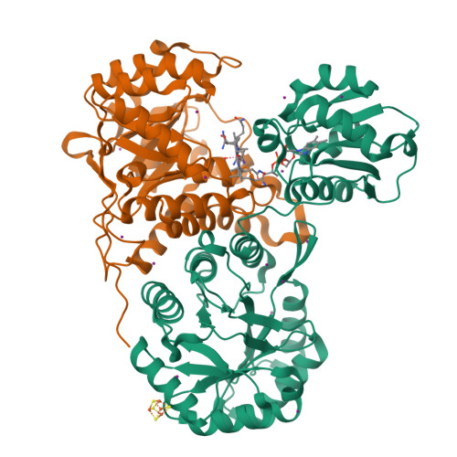 RCSB PDB - 2H9A: Corrinoid Iron-Sulfur Protein