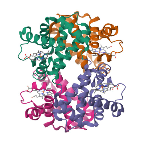 RCSB PDB - 2HBC: HIGH RESOLUTION X-RAY STRUCTURES OF MYOGLOBIN-AND ...