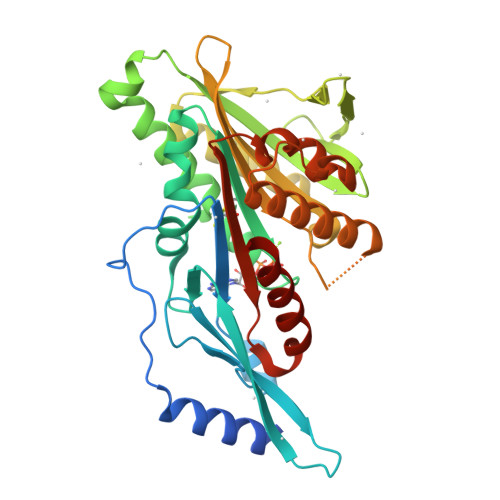 RCSB PDB - 2HEH: Crystal Structure of the KIF2C motor domain