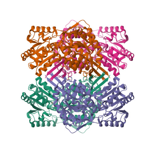 RCSB PDB - 2HG2: Structure of Lactaldehyde Dehydrogenase