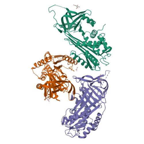 RCSB PDB - 2HI9: Crystal Structure of human native protein C inhibitor