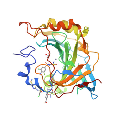 RCSB PDB - 2HOC: Crystal structure of the human carbonic anhydrase II ...