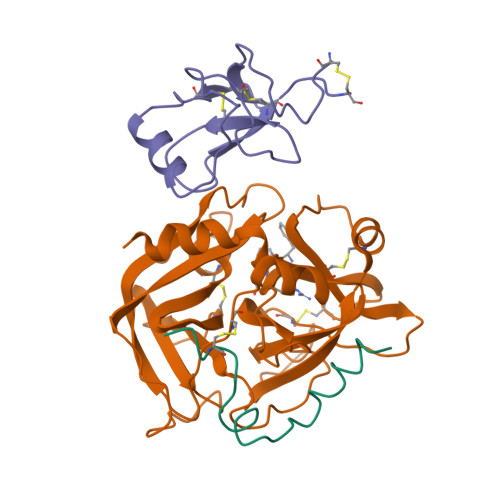 RCSB PDB - 2HPP: Structures of the noncovalent complexes of human and ...