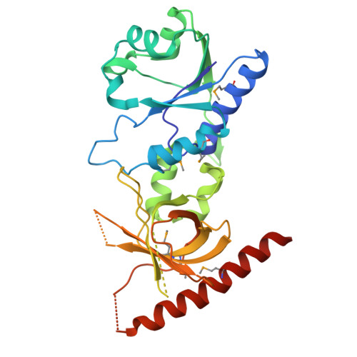 RCSB PDB - 2I1L: Crystal structure of the C2 form of FAD synthetase ...