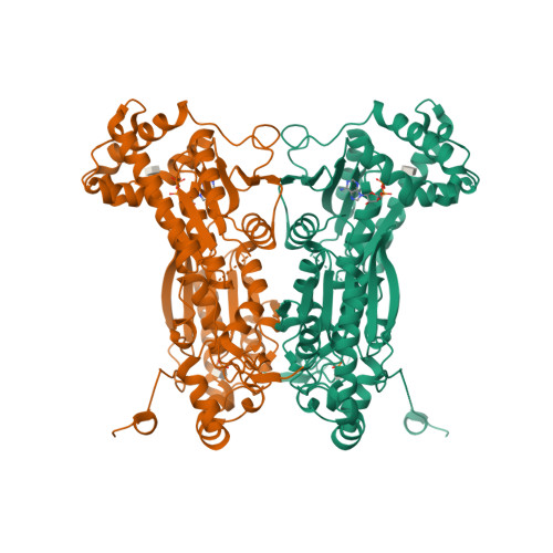 RCSB PDB - 2I1V: Crystal structure of PFKFB3 in complex with ADP and ...