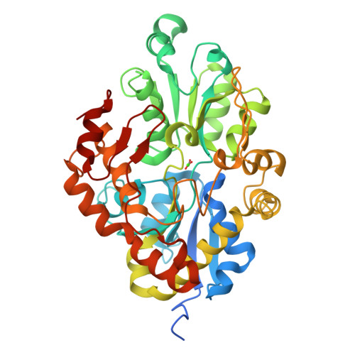 RCSB PDB - 2I4C: Crystal structure of Bicarbonate Transport Protein ...