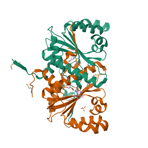 RCSB PDB - 2I7H: Crystal Structure of the Nitroreductase-like Family ...