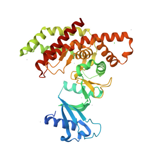 RCSB PDB - 2I7Q: Crystal structure of Human Choline Kinase A