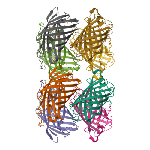 RCSB PDB - 2IB6: Structural characterization of a blue chromoprotein ...