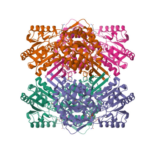 RCSB PDB - 2ILU: Crystal structure of lactaldehyde dehydrogenase from E ...