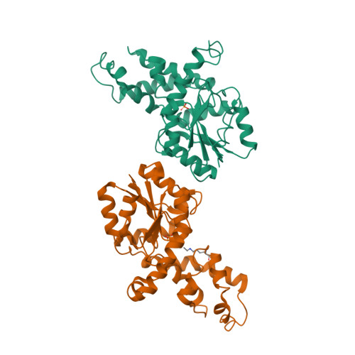 RCSB PDB - 2IOF: Crystal structure of phosphonoacetaldehyde hydrolase ...