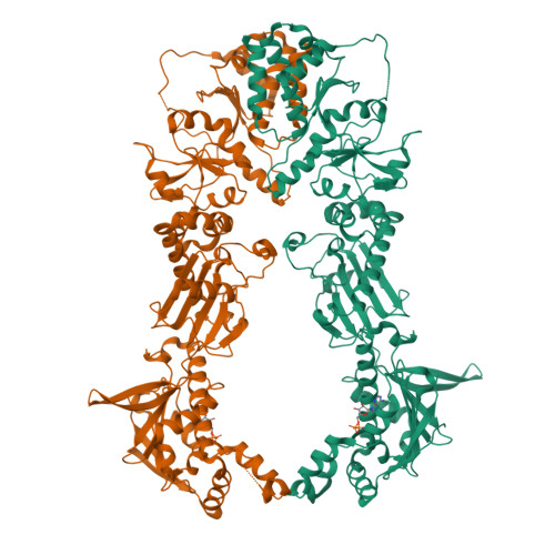 RCSB PDB - 2IOP: Crystal Structure of Full-length HtpG, the Escherichia ...
