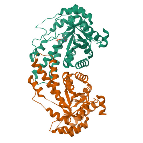 RCSB PDB - 2ISW: Structure of Giardia fructose-1,6-biphosphate aldolase ...