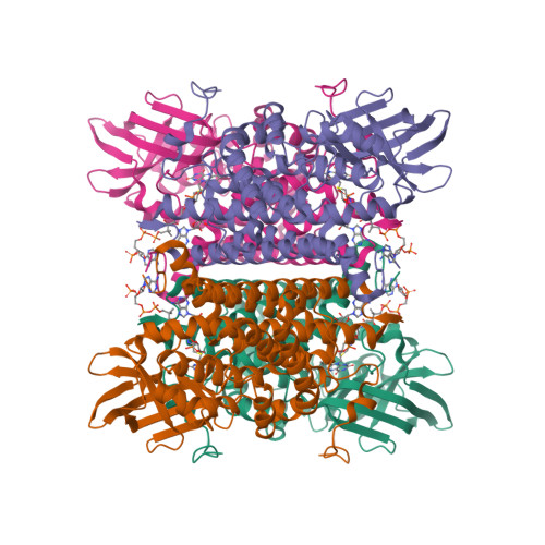 RCSB PDB - 2IX5: Short chain specific acyl-CoA oxidase from Arabidopsis ...