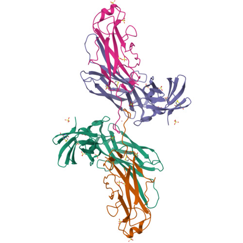 RCSB PDB - 2J2Z: X-Ray Structure of the Chaperone PapD in complex with ...
