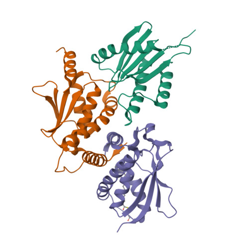 RCSB PDB - 2J3W: The crystal structure of the bet3-trs31-sedlin complex.