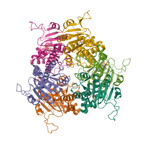 RCSB PDB - 2J4L: Crystal structure of uridylate kinase from Sulfolobus ...