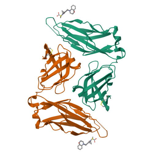RCSB PDB - 2J7L: E. coli P Pilus chaperone PapD in complex with a pilus ...