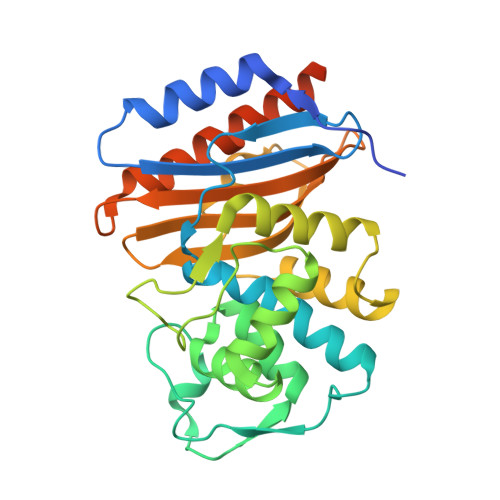RCSB PDB - 2J7V: Structure of PBP-A