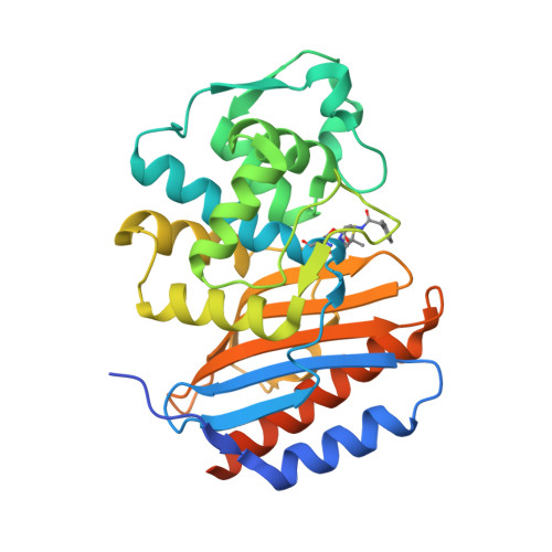 RCSB PDB - 2J8Y: Structure of PBP-A acyl-enzyme complex with penicillin-G