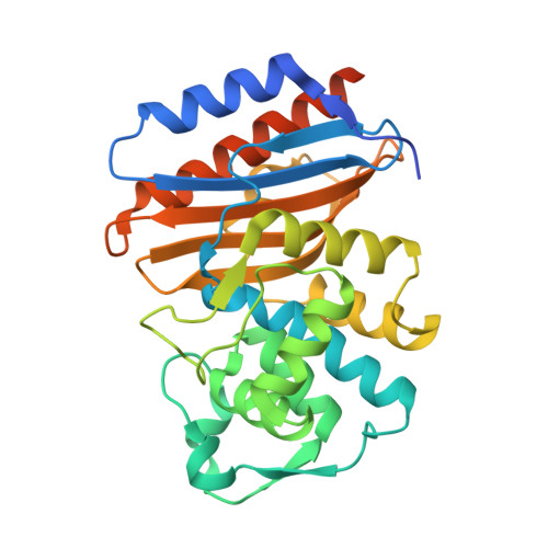 RCSB PDB - 2J9O: Structure of PBP-A, L158E mutant