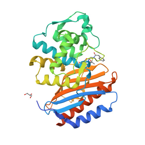 RCSB PDB - 2JBF: Structure of PBP-A, L158E mutant. Acyl-enzyme complex ...