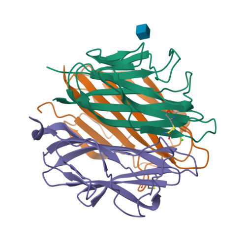 RCSB PDB - 2JG8: Crystallographic structure of human C1q globular heads ...
