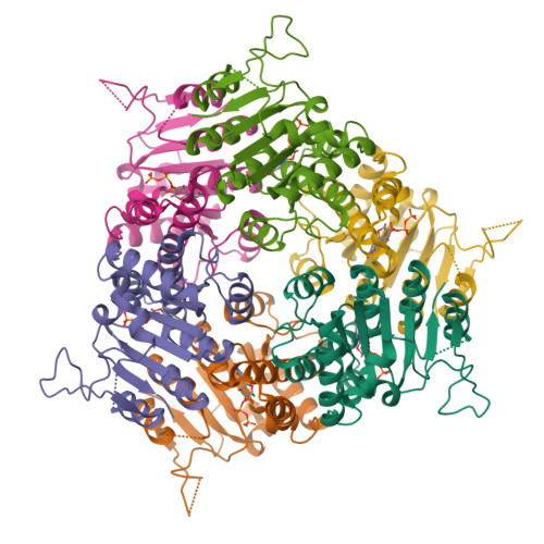 RCSB PDB - 2JI5: Structure of UMP kinase from Pyrococcus furiosus ...