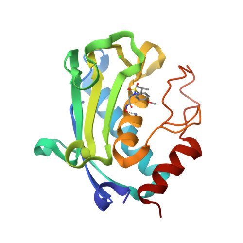RCSB PDB - 2JNP: Solution structure of matrix metalloproteinase 3 (MMP ...