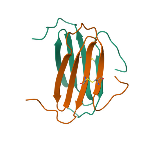 RCSB PDB - 2JP1: Solution structure of the alternative conformation of ...