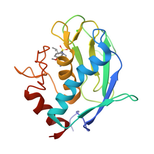 RCSB PDB - 2JSD: Solution structure of MMP20 complexed with NNGH