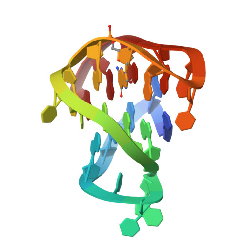RCSB PDB - 2JSK: Monomeric Human Telomere DNA Tetraplex with 3+1 Strand ...