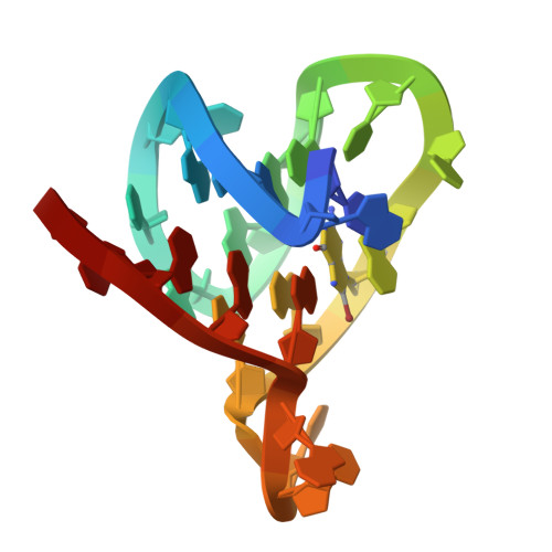 RCSB PDB - 2JSQ: Monomeric Human Telomere DNA Tetraplex with 3+1 Strand ...