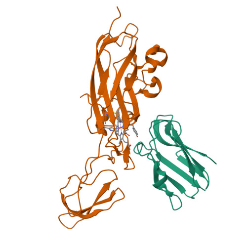 RCSB PDB - 2JXM: Ensemble of twenty structures of the Prochlorothrix ...