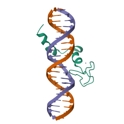 RCSB PDB - 2KAE: data-driven model of MED1:DNA complex