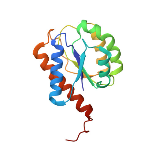 RCSB PDB - 2KLB: NMR Solution structure of a diflavin flavoprotein A3 ...