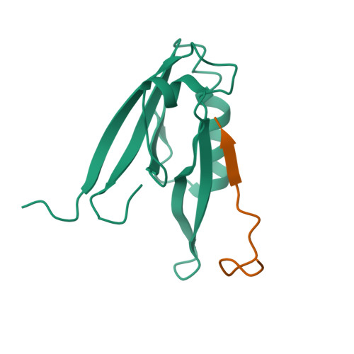 RCSB PDB - 2KOH: NMR structure of mouse Par3-PDZ3 in complex with VE ...