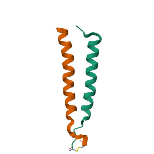 RCSB PDB - 2L34: Structure of the DAP12 transmembrane homodimer
